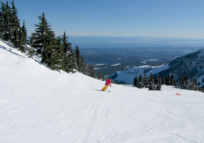 Mt Washington Ski Resort BC Review