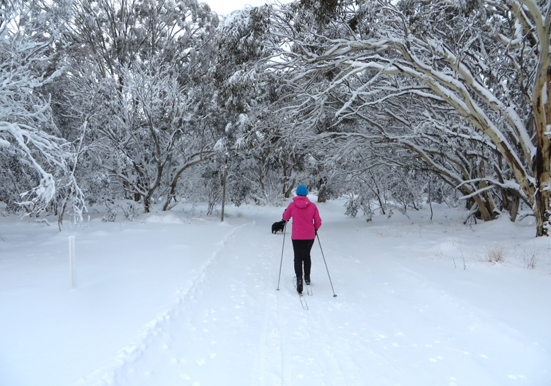 Dinner Plain Review | Dinner Plain Ski Holiday