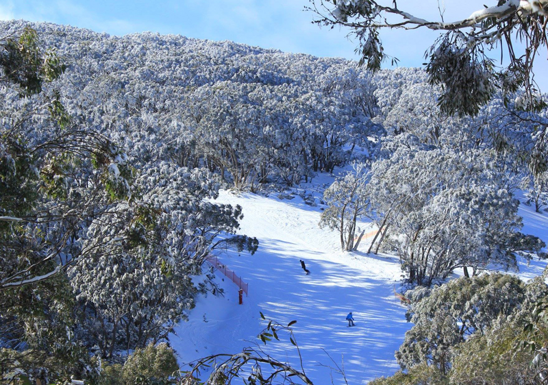 Mt Baw Baw Ski Resort Victoria | Mount Baw Baw Review