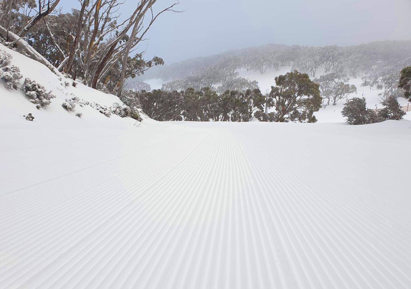 Mt Baw Baw Ski Resort Victoria | Mount Baw Baw Review