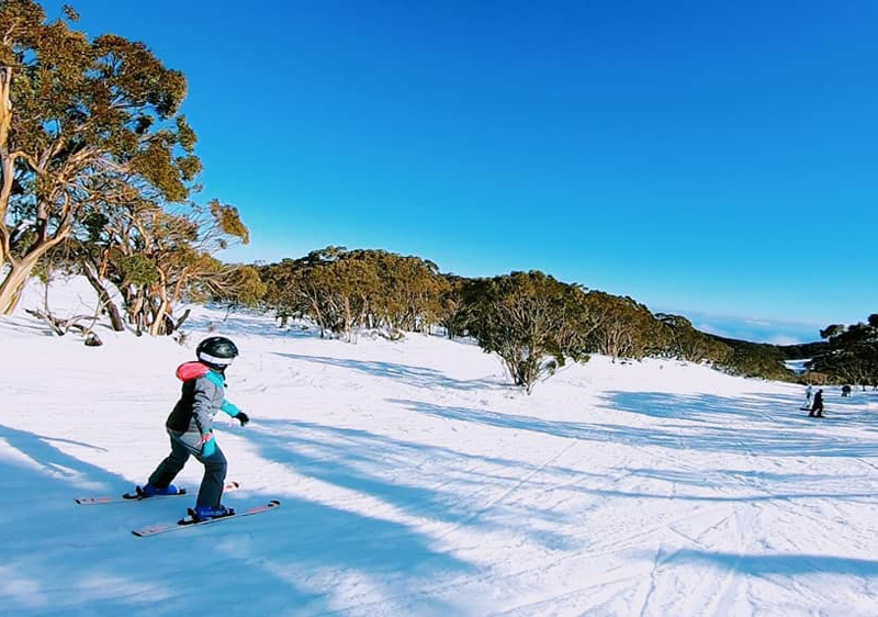 Mt Baw Baw Ski Resort Victoria | Mount Baw Baw Review