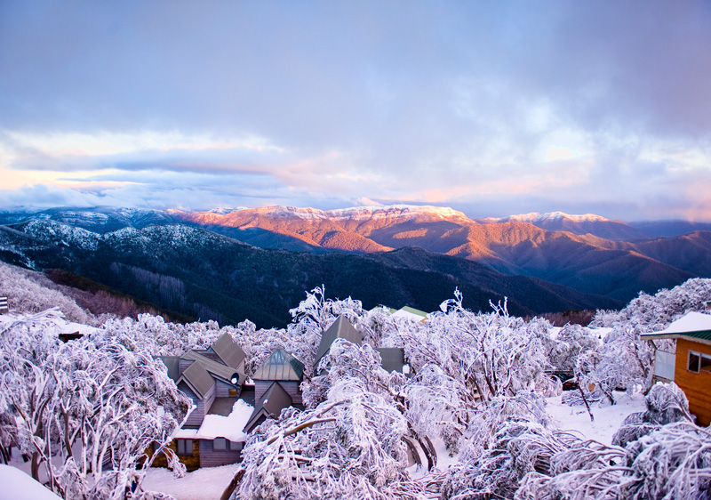 Mt Buller Ski Resort | Mount Buller Review