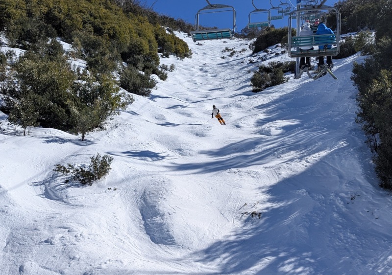 Mount Buller Ski Lifts, Terrain, Snow Ratings