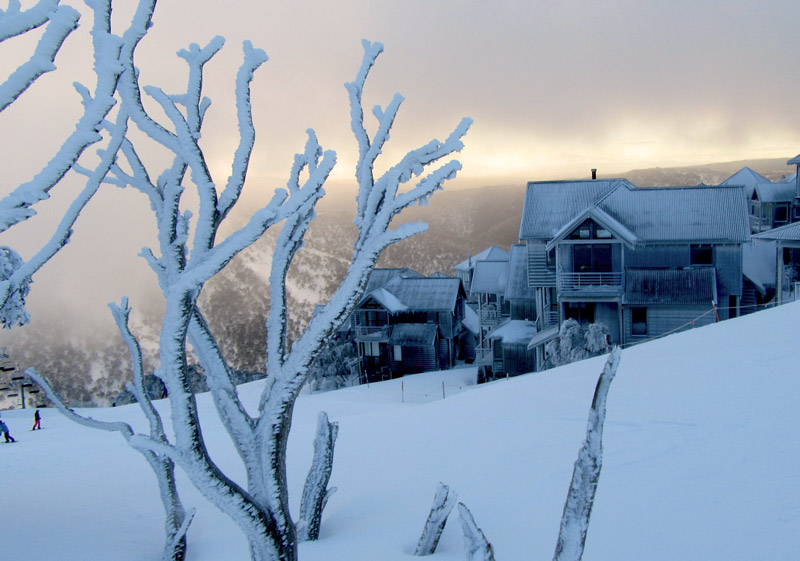 Mt Hotham Ski Resort | Mount Hotham Reviews