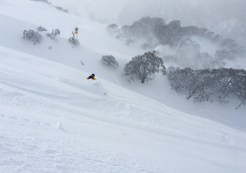 Ski Hotham Resort | Mt Hotham Skiing Terrain Review