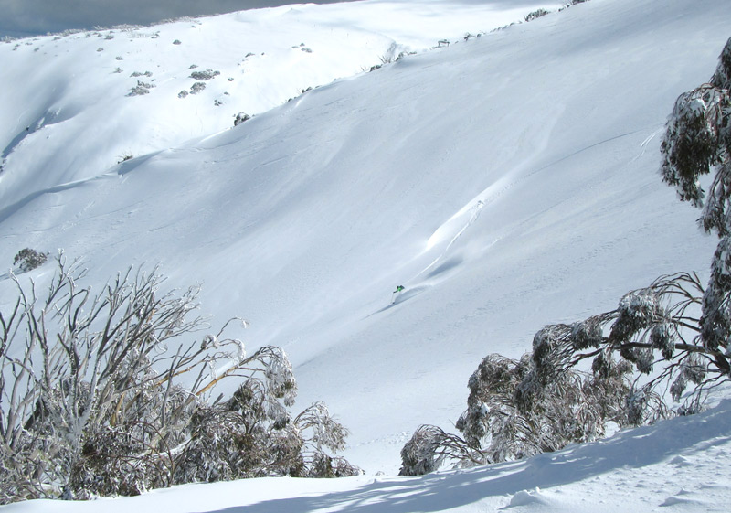 Ski Hotham Resort | Mt Hotham Skiing Terrain Review