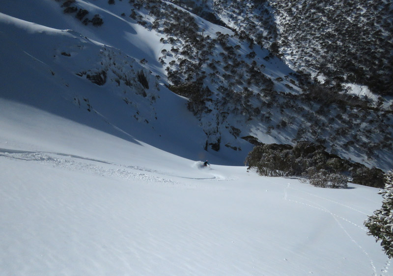 Ski Hotham Resort | Mt Hotham Skiing Terrain Review