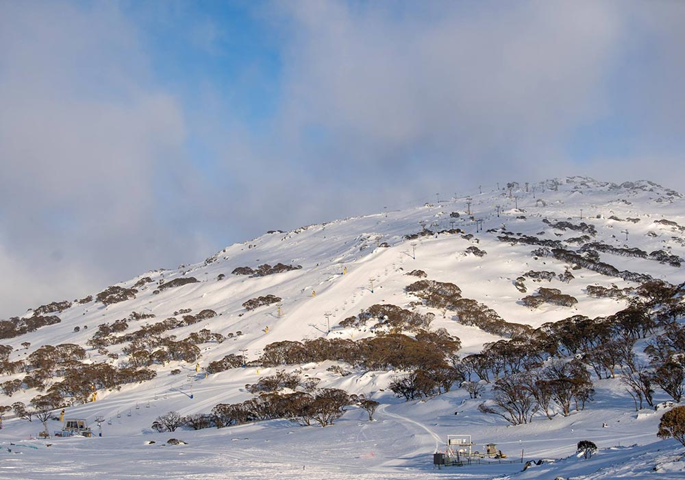 Perisher Skiing Terrain, Snow | Ski Perisher Ratings