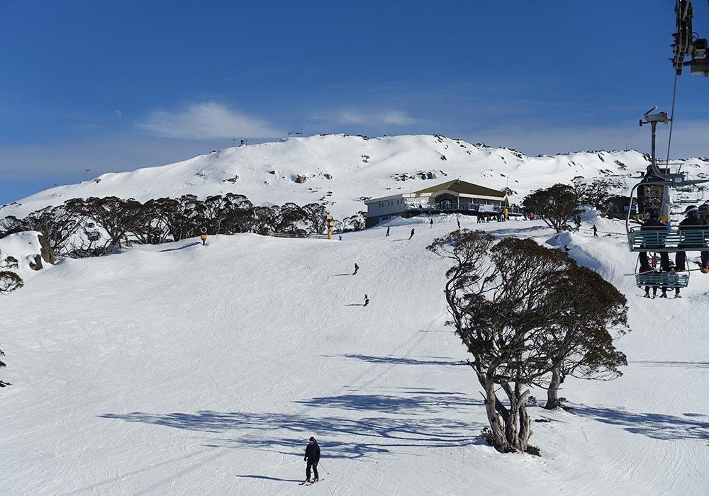 Perisher Skiing Terrain, Snow | Ski Perisher Ratings