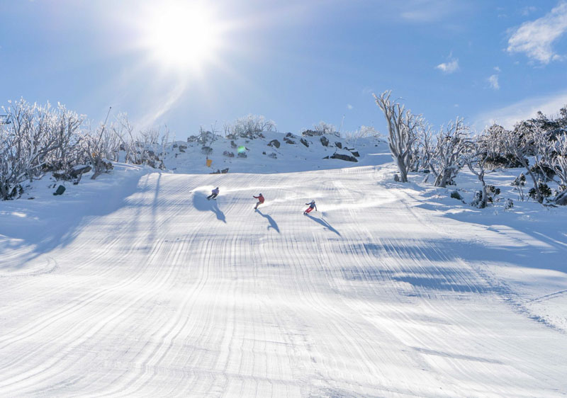 Compare Snow in Australia | Australian Ski Fields Comparison