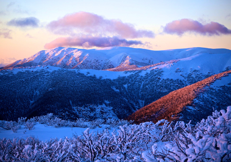 Compare Snow in Australia | Australian Ski Fields Comparison