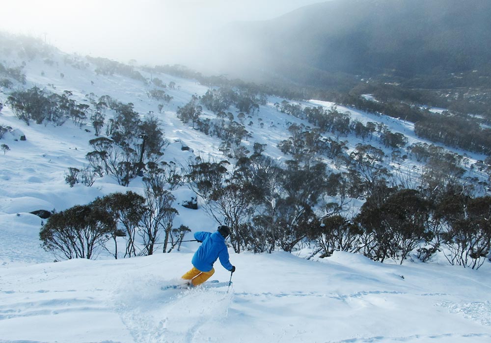 Thredbo Skiing & Snowboarding | Thredbo Resort Review, Ratings