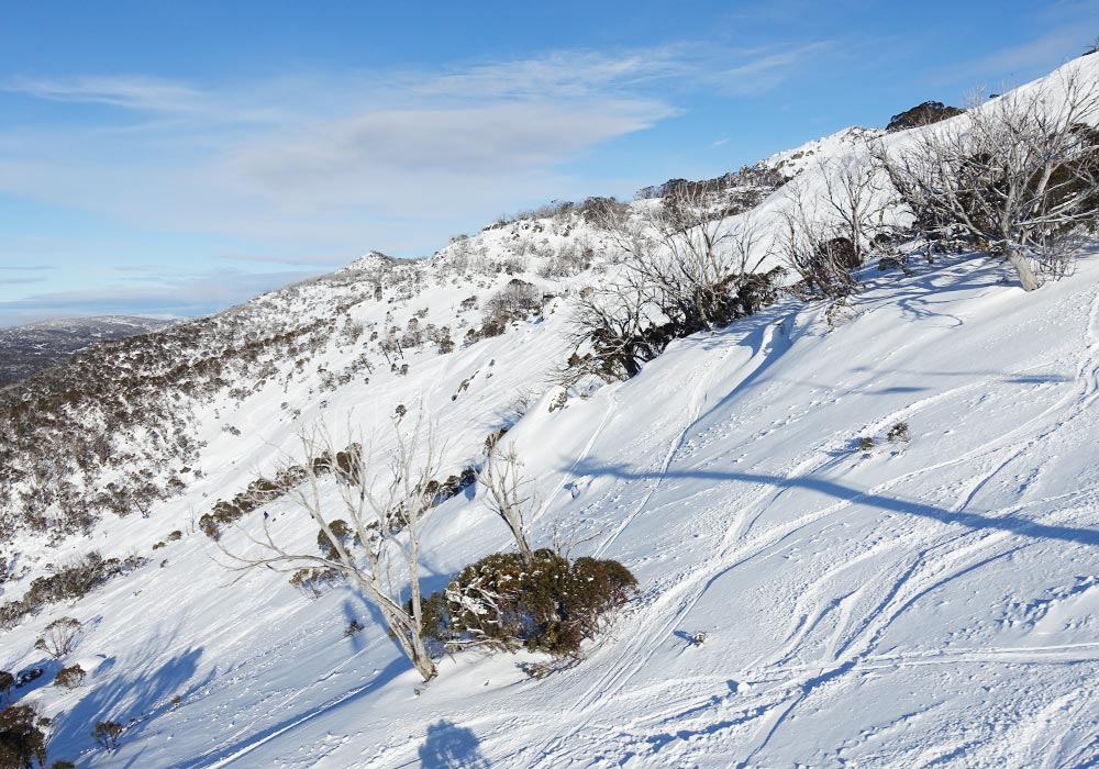 Thredbo Skiing & Snowboarding | Thredbo Resort Review, Ratings