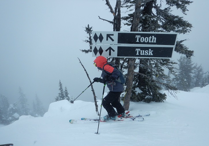 Apex Ski Resort BC | Apex Mountain Resort Review