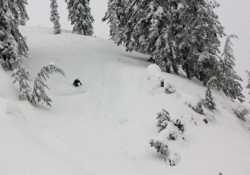 Skiing Fernie Alpine Resort | Fernie Snow