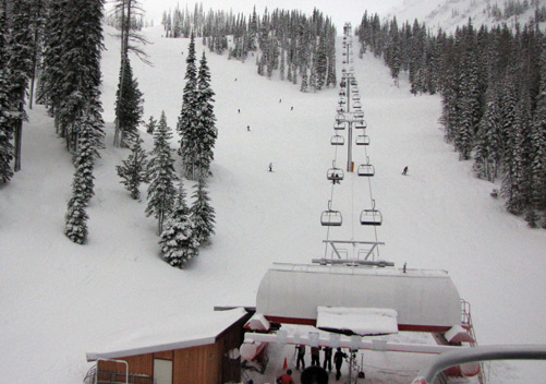 Skiing Fernie Alpine Resort | Fernie Snow
