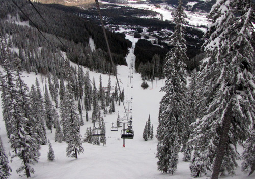 Skiing Fernie Alpine Resort | Fernie Snow