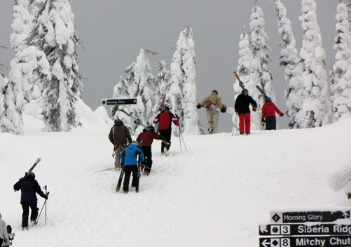 Skiing Fernie Alpine Resort | Fernie Snow