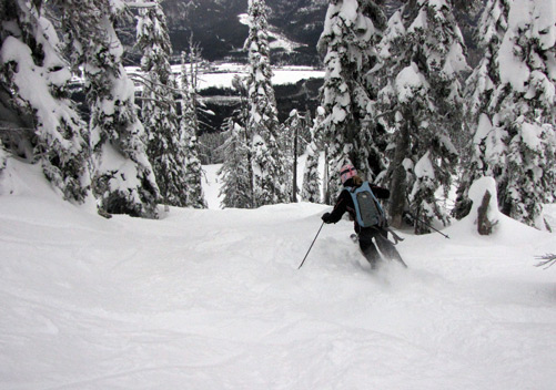 Skiing Fernie Alpine Resort | Fernie Snow