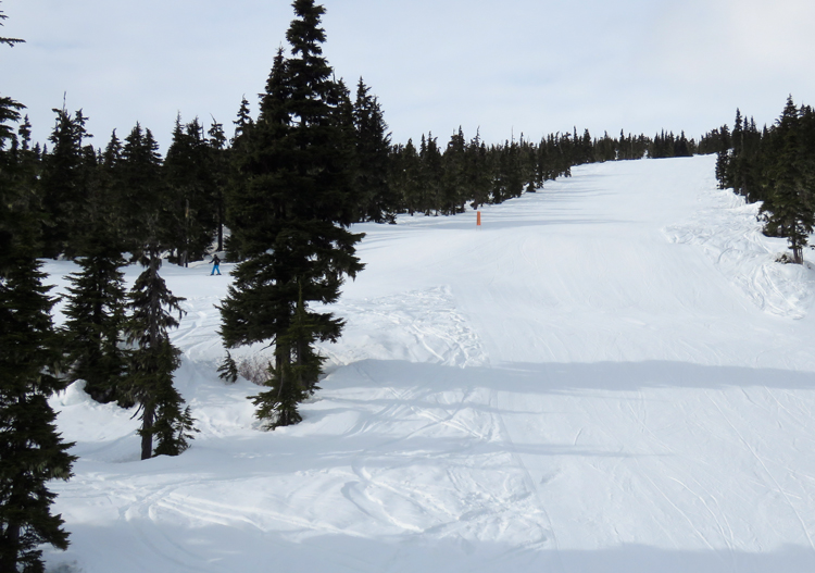 Shames Mountain Ski Resort Terrace BC Skiing