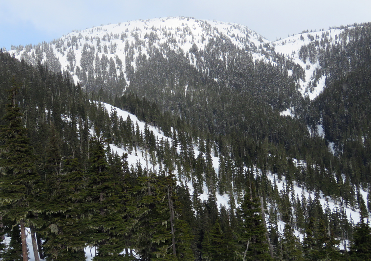 Shames Mountain Ski Resort Terrace BC Skiing