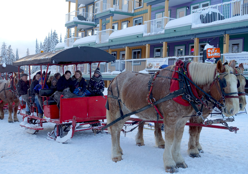 Silver Star Activities | Things to Do