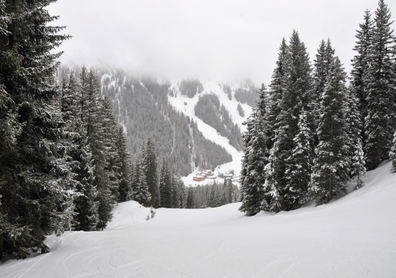 Axamer Lizum Ski Resort Info Guide | Axamer-Lizum Austria Review