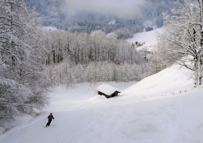 Diedamskopf Ski Resort Info Guide | Diedamskopf Schoppernau Austria Review