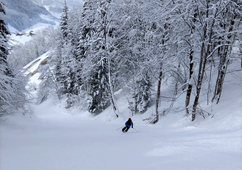 Diedamskopf Ski Resort Info Guide | Diedamskopf Schoppernau Austria Review