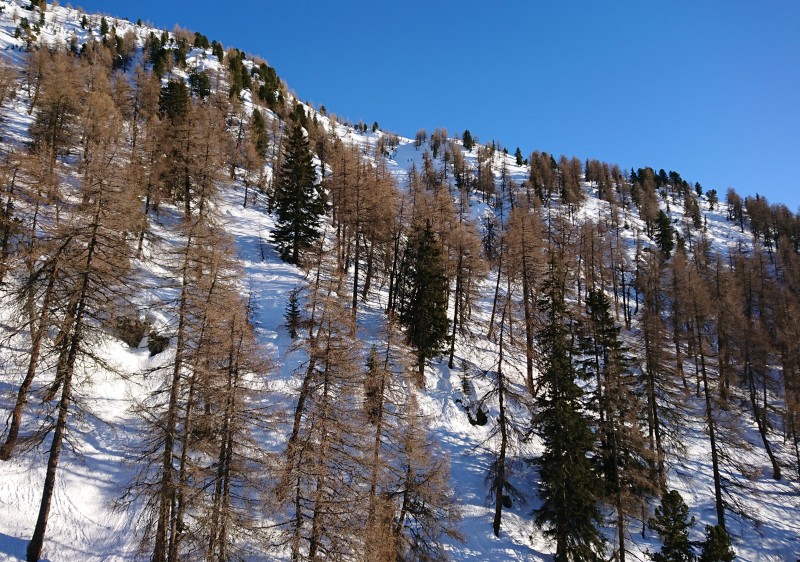 Venet Ski Resort Info Guide| Landeck-Zams Austria Review