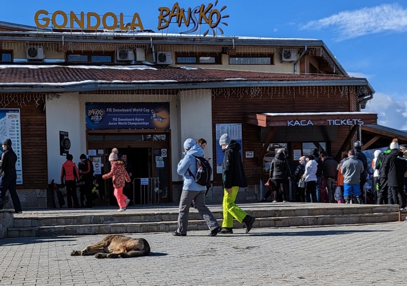 Bansko Ski Resort Information Guide | Bansko Bulgaria Review