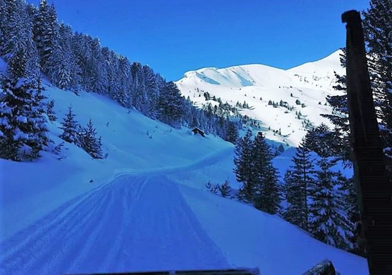 Lynx Freeride Cat Skiing Kosovo | Lynx Freeride Cat Boarding Packages