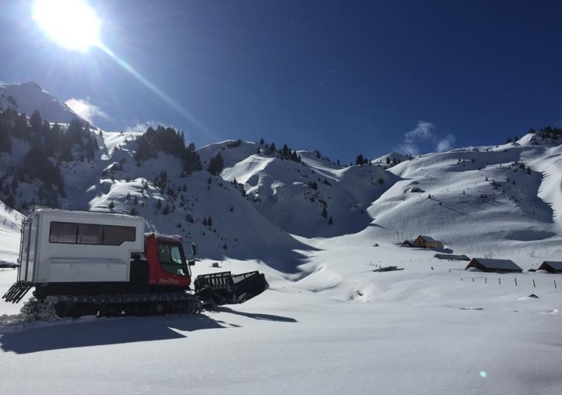 Lynx Freeride Cat Skiing Kosovo | Lynx Freeride Cat Boarding Packages