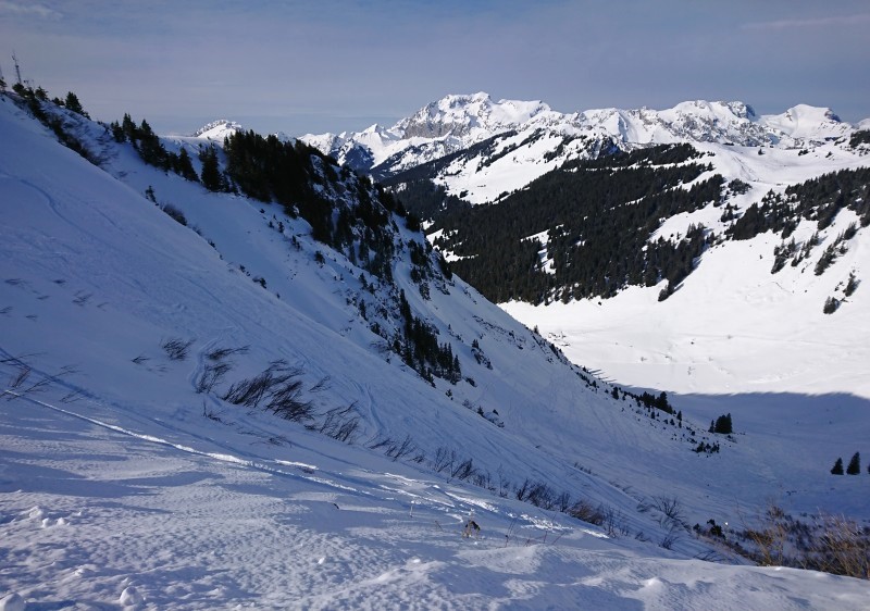 Chatel Ski Lessons & Guiding | Châtel Ski Instructors & Guides