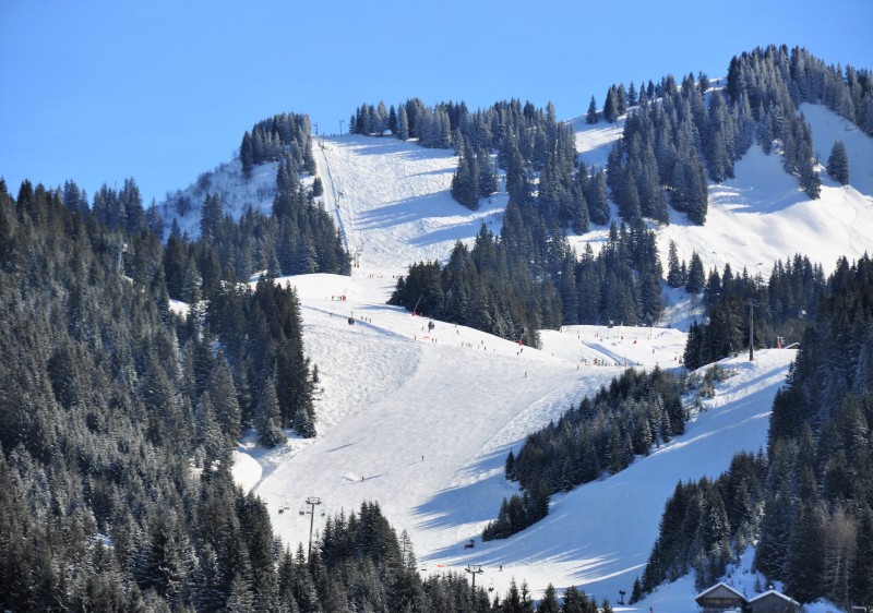 Châtel Ski Resort Info Guide | Chatel, Portes du Soleil France Review