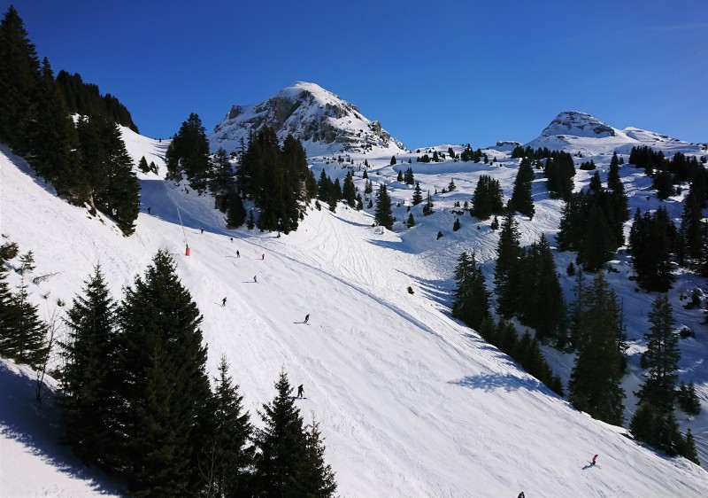 Châtel Ski Resort Info Guide | Chatel, Portes du Soleil France Review