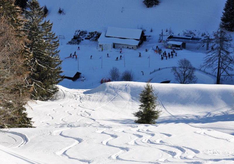 Châtel Ski Resort Info Guide | Chatel, Portes du Soleil France Review