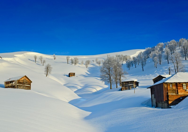 Goderdzi Ski Resort Info Guide | Goderdzi Georgia Review