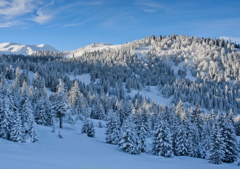 Goderdzi Ski Resort Info Guide | Goderdzi Georgia Review