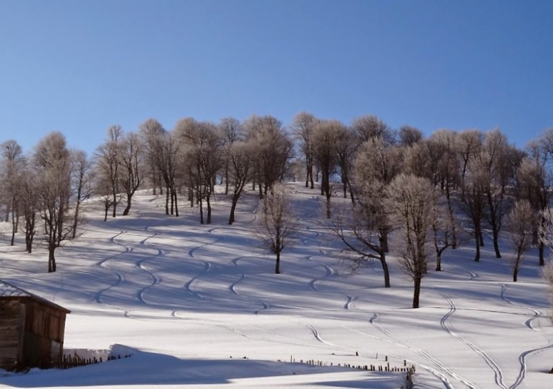 Goderdzi Ski Resort Info Guide | Goderdzi Georgia Review