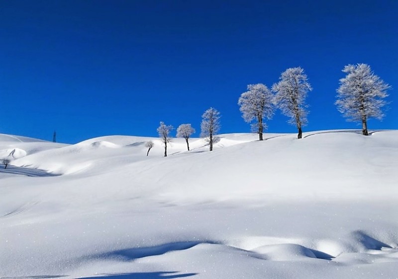 Goderdzi Ski Resort Info Guide | Goderdzi Georgia Review