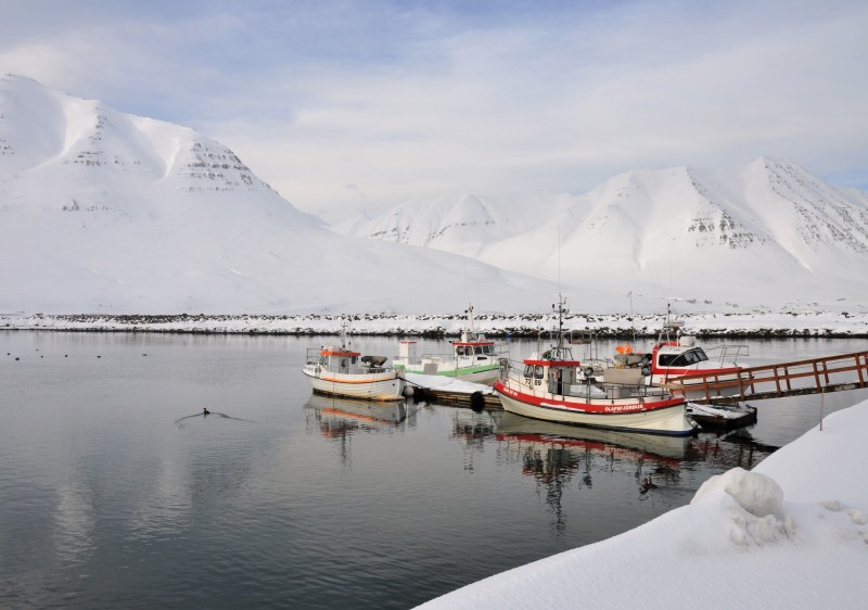 Dalvik Ski Resort Info Guide | Dalvik Boggvisstadafjall Troll Peninsula ...