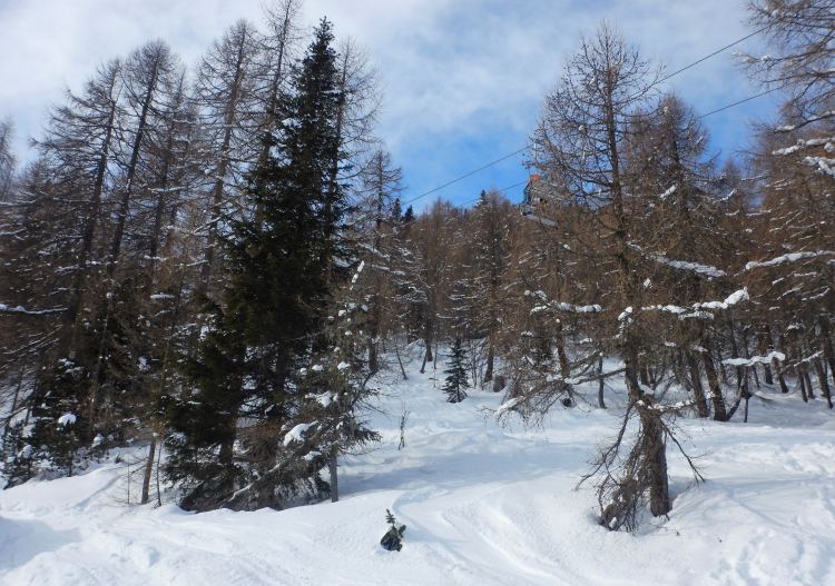 Folgarida Marilleva Ski Resort Info Guide | Folgarida-Marilleva Italy ...