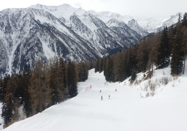 Pejo Ski Resort Info Guide | Peio Trentino Italy Review