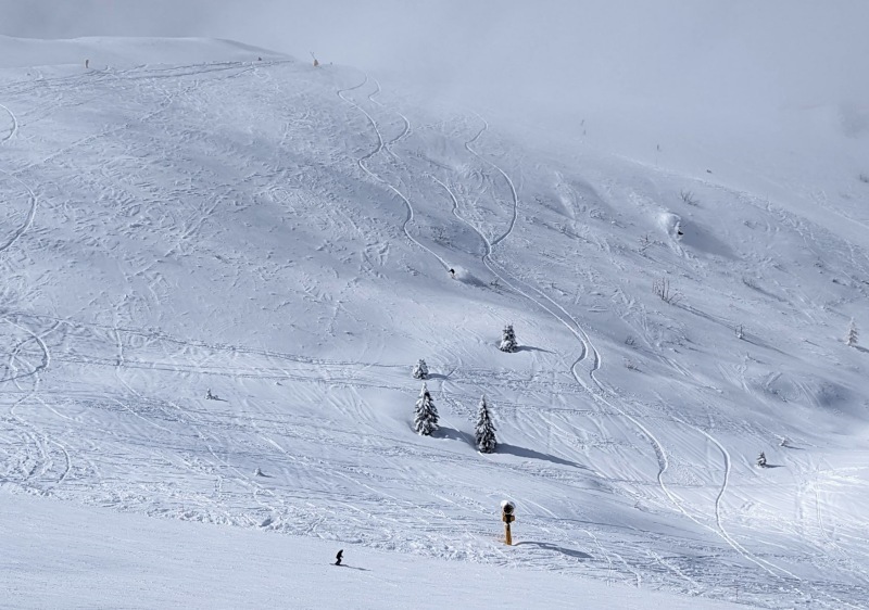 Pinzolo Ski Resort Info Guide | Pinzolo Brenta Dolomites Review