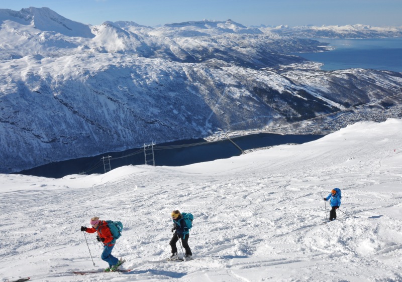 Narvikfjellet Ski Resort Info Guide | Narvik Norway Review