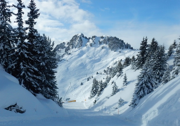 Aletsch Arena Skiing & Snowboarding | Aletsch Arena Ski Lifts, Terrain ...