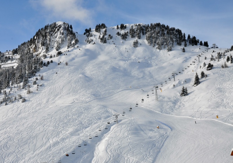 Aletsch Arena Ski Resort Info Guide | Bettmeralp, Fiesheralp, Riederalp ...