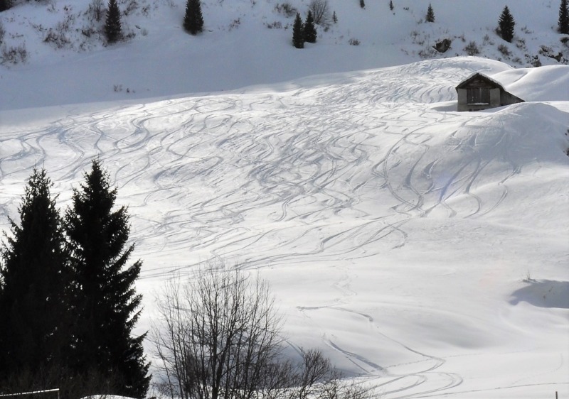 Bivio Ski Resort Info Guide | Bivio, Grisons, Switzerland Review