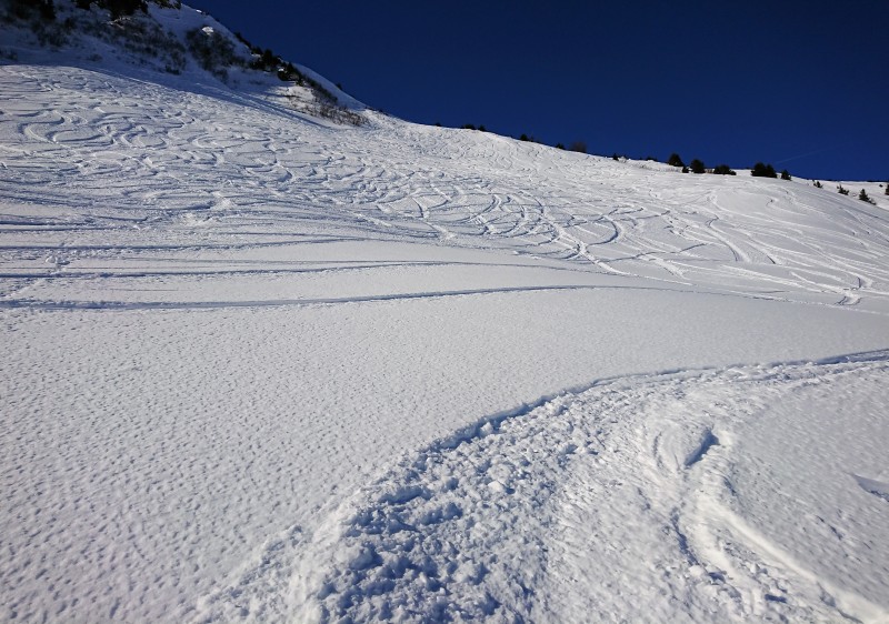 Champoussin Ski & Snowboard Lessons & Guiding | Ski Instructors & Guides